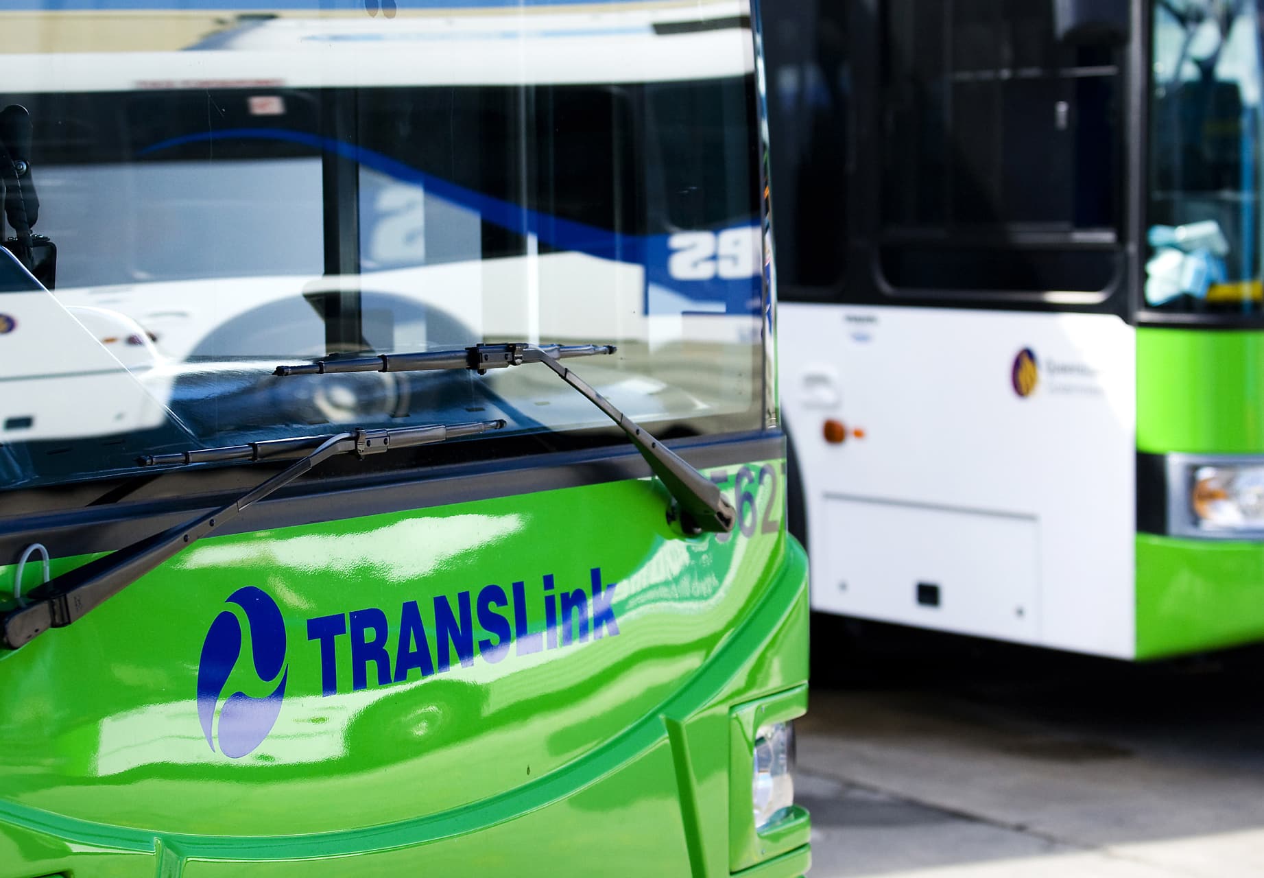 100 new bus services for Cairns - Australasian Bus and Coach