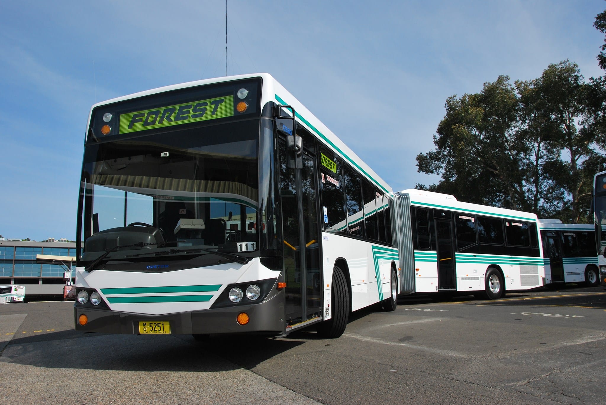 Forest Coach Lines expands services following Coffs Harbour ...