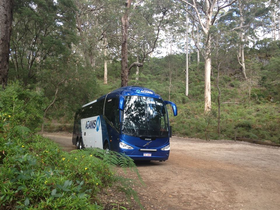 LEADING WA BUS OPERATOR TO OFFER BESPOKE CHINESE-SPEAKING TOURS ...