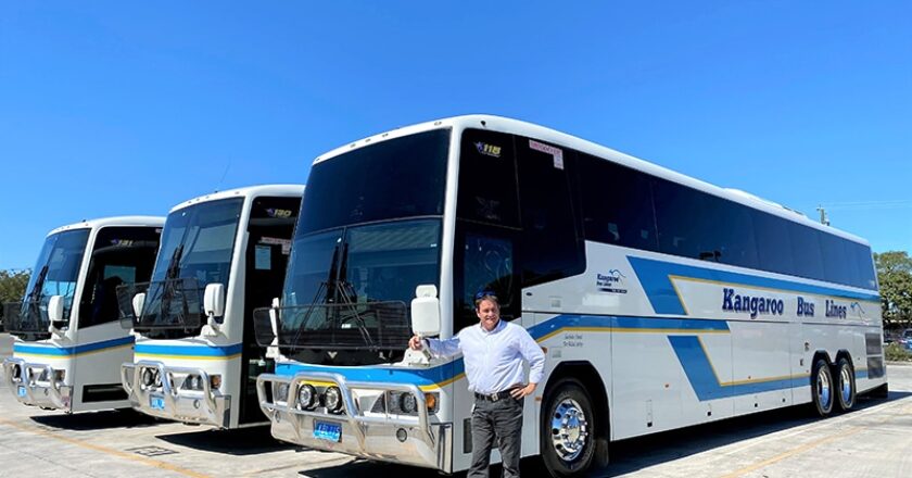 kangaroo bus lines sunshine coast queensland bus coach business award ...