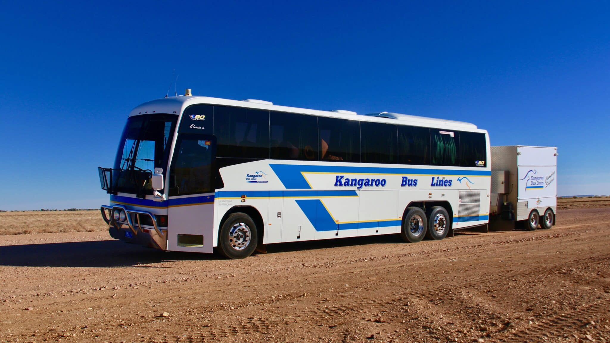 Kangaroo Bus Lines calls for drivers | News