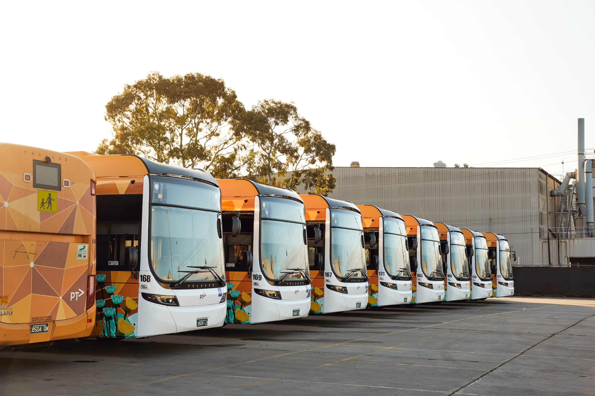 Global force BYD focuses bus lens on Australian market - Australasian ...