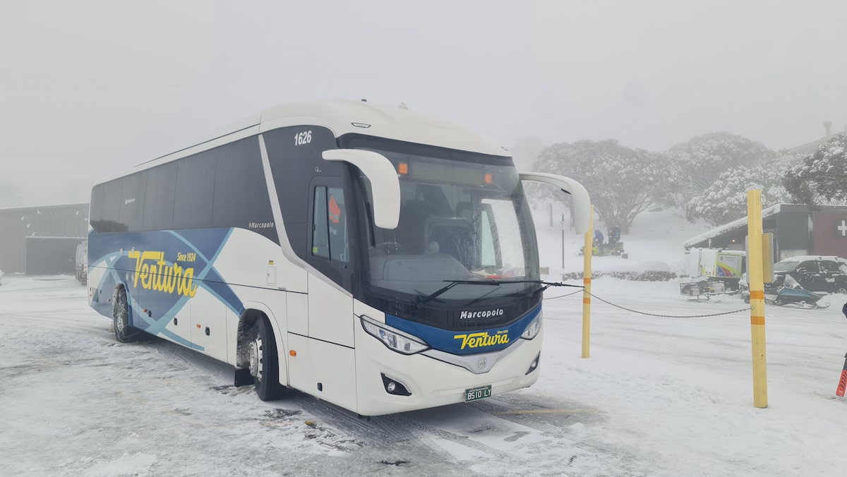 Snow White takes home Best Bus August