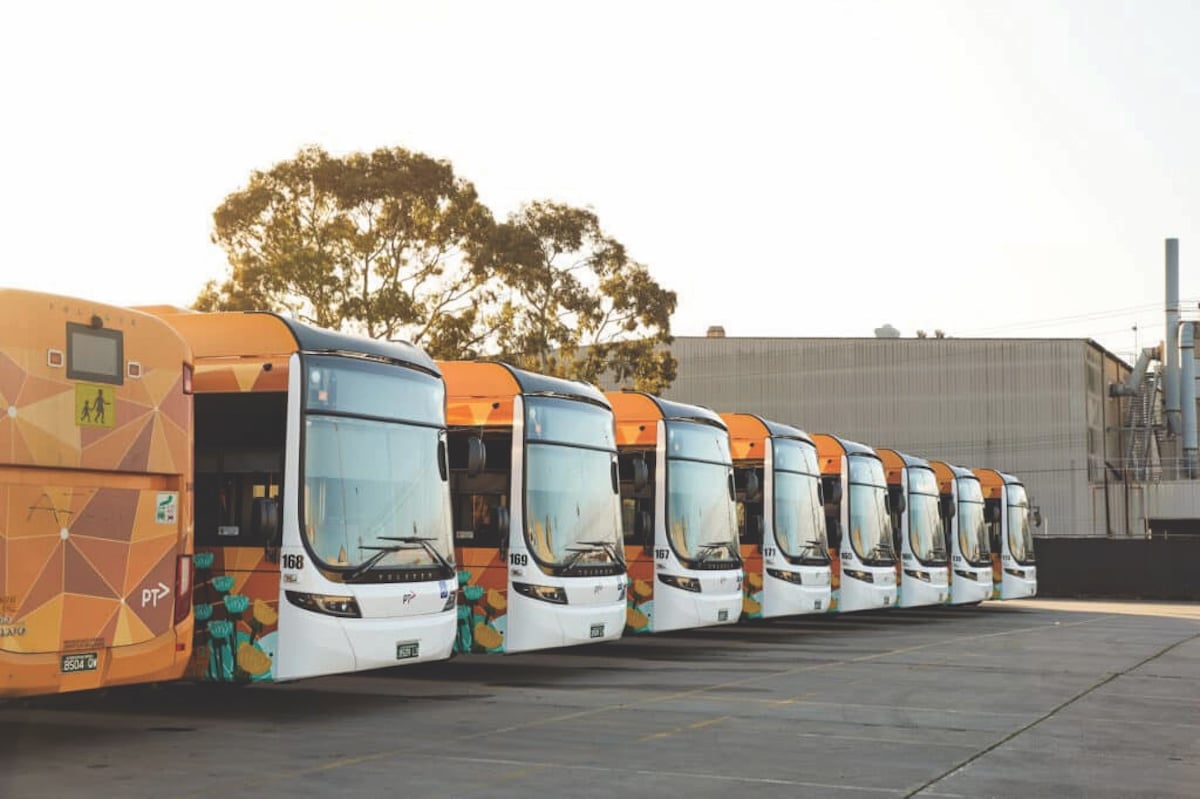 Power up with BYD Australia at the Show