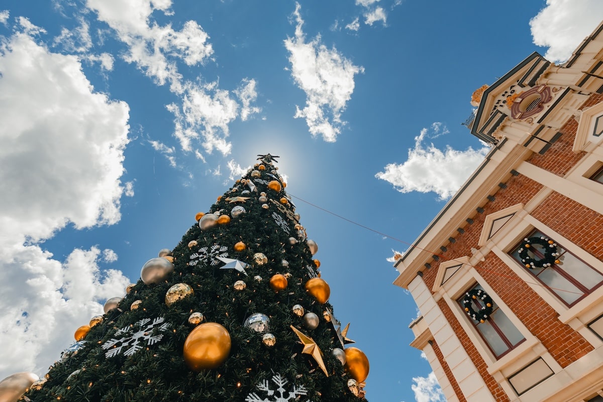 Busline Group reveals amended timetable for holiday period